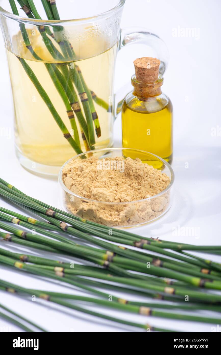 Water horsetail herb, horsetail oil, extract and glass of tea Stock ...