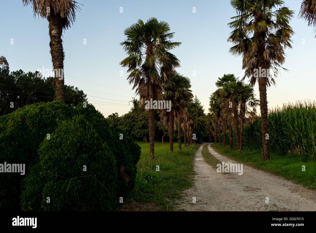 Straight unpaved dirt road hi-res stock photography and images - Alamy