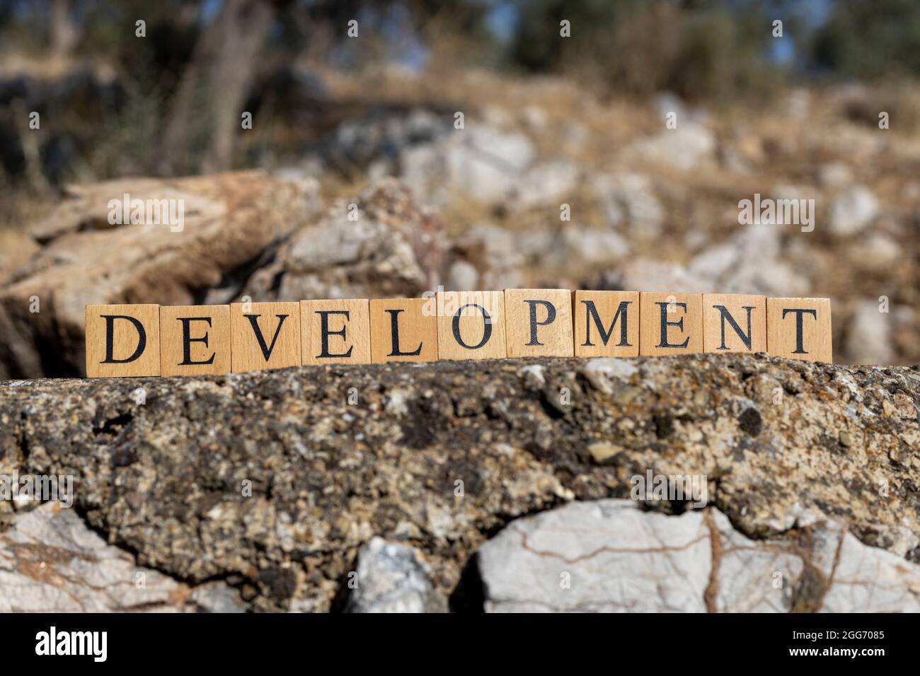 The word development was created from wooden cubes. Photographed on the ...