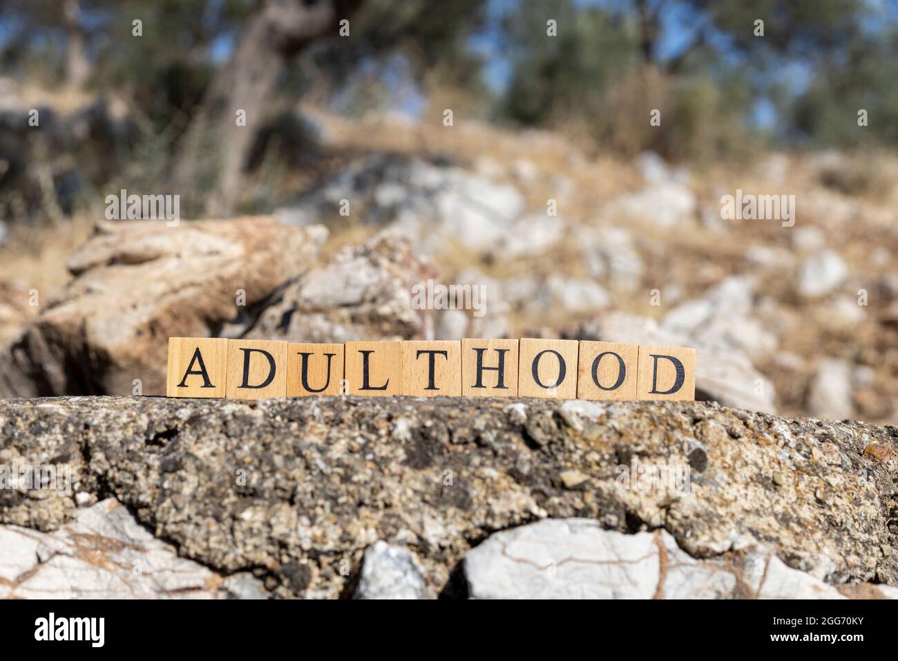 Adulthood Word created from wooden cubes. Photographed on the wall ...