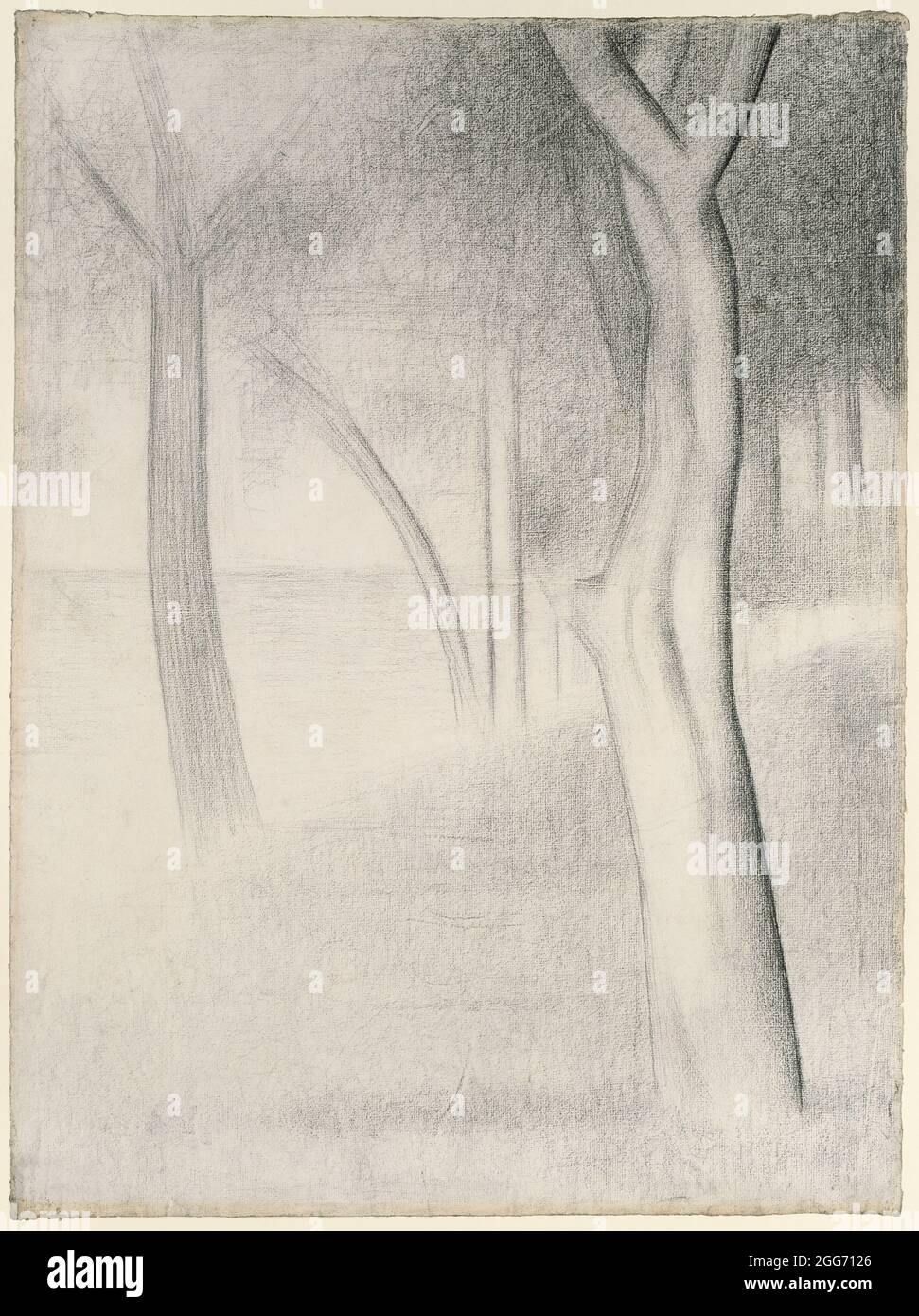 Trees (study for La Grande Jatte) 1884 by Georges Seurat Stock Photo ...