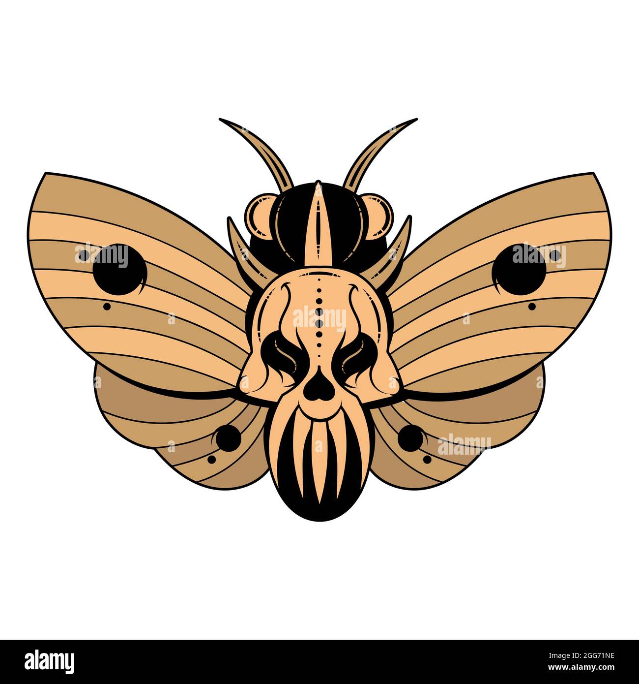 Illustration of a butterfly Dead head with a skull-shaped pattern on ...