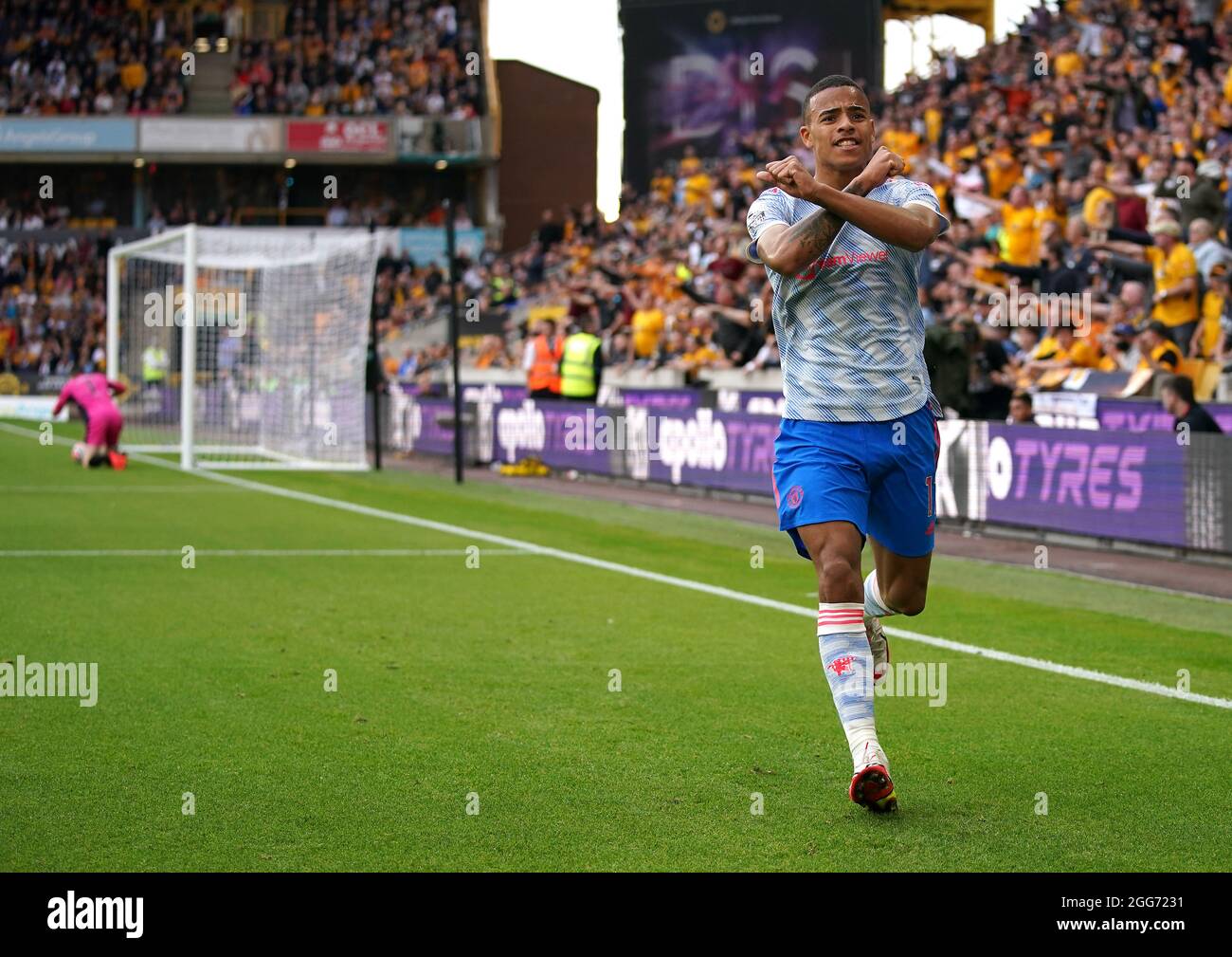 Jose sa wolves celebrates hi-res stock photography and images - Alamy