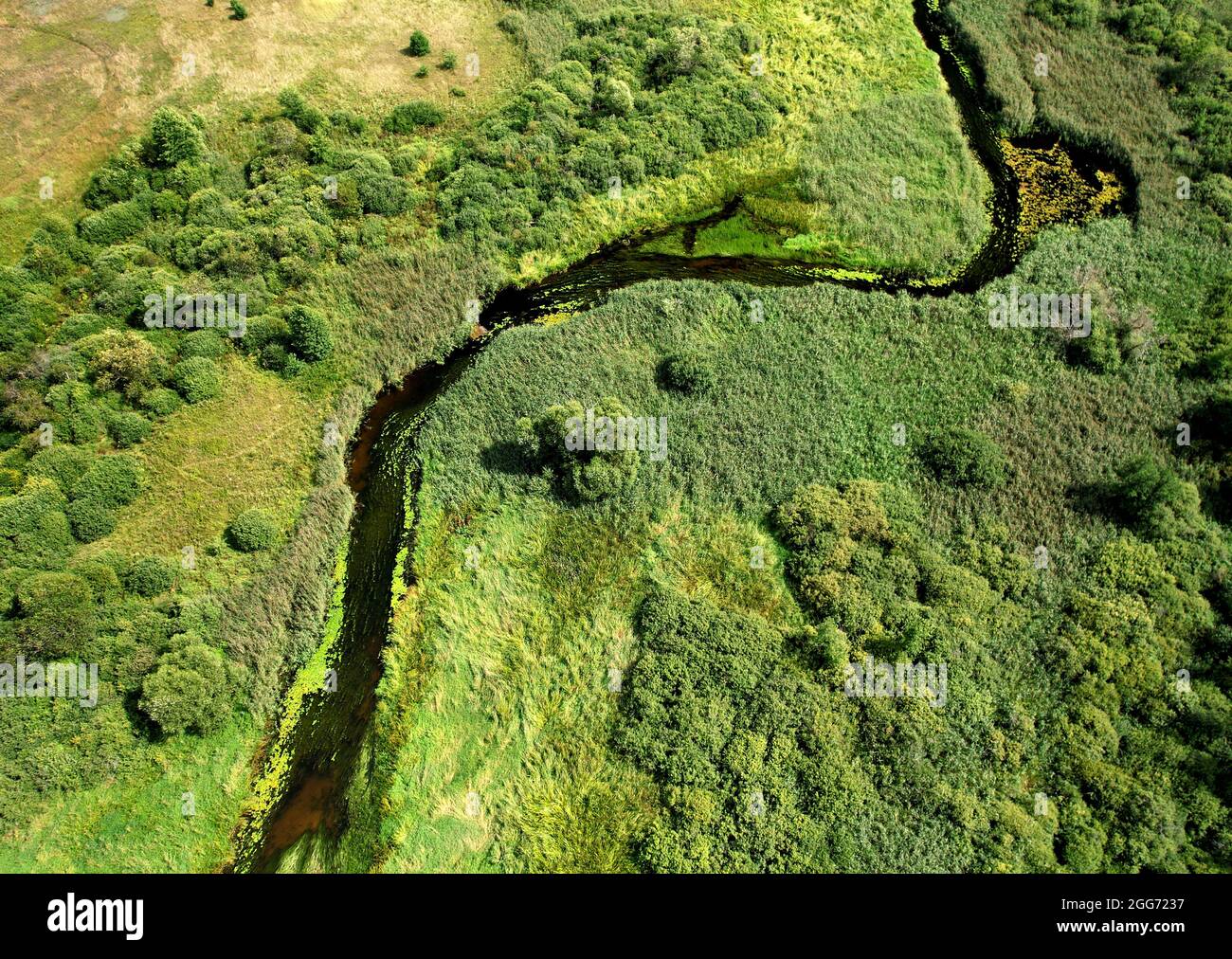River in the wild. Aerial view of small river in middle of green field ...