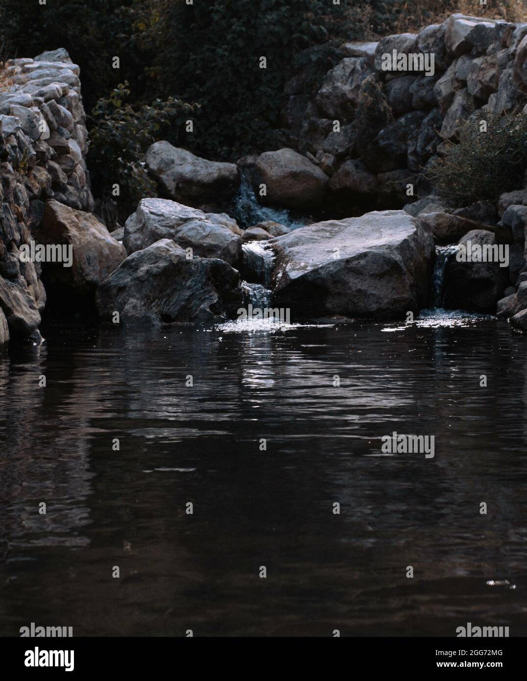 A vertical shot of a river surrounded by rocks in a forest Stock Photo ...