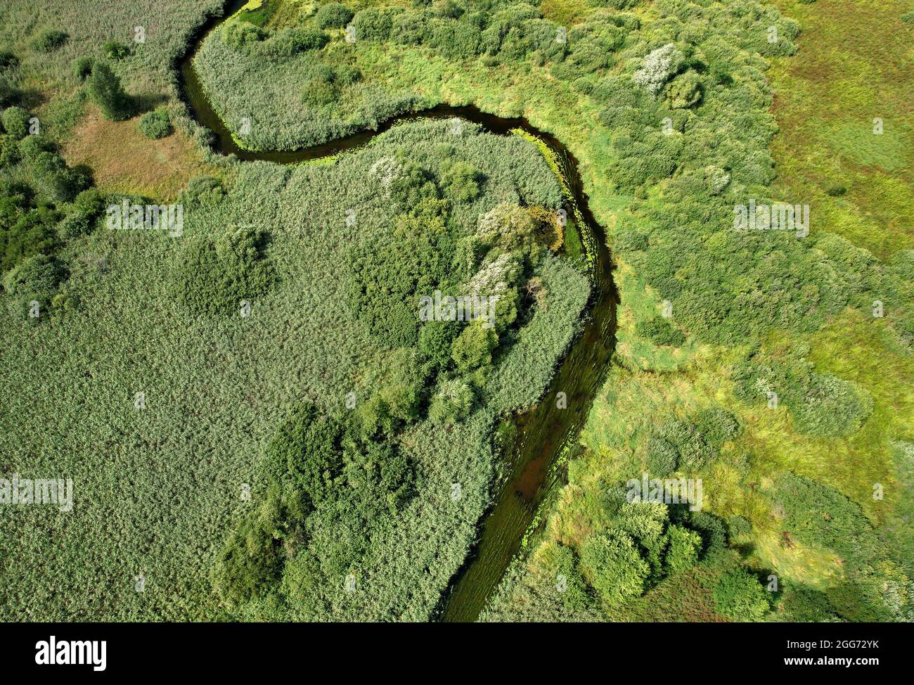 River in the wild. Aerial view of small river in middle of green field ...