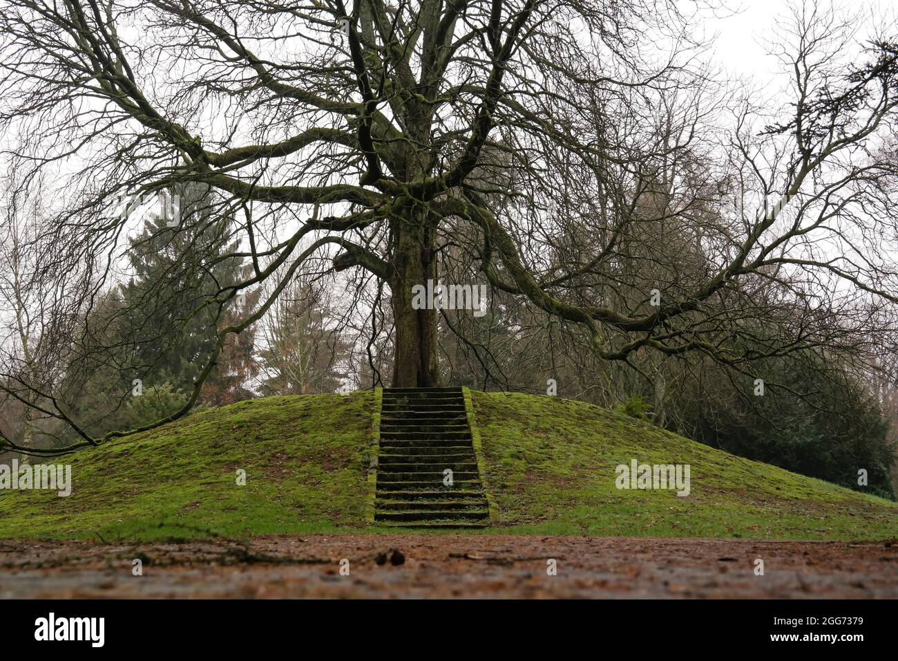 Ohlsdorf cemetery hi-res stock photography and images - Alamy