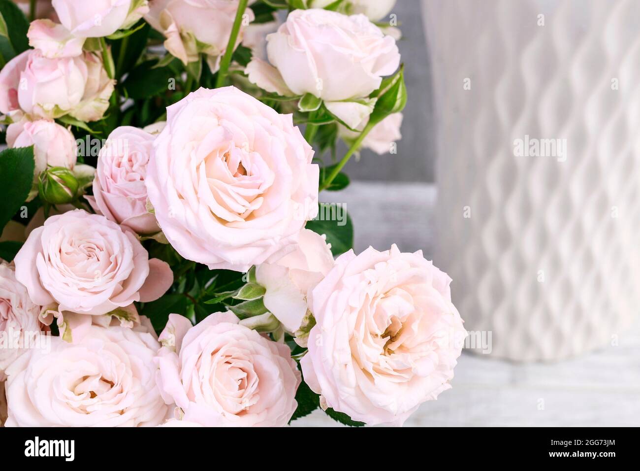 Bouquet of pink roses, copy space Stock Photo - Alamy