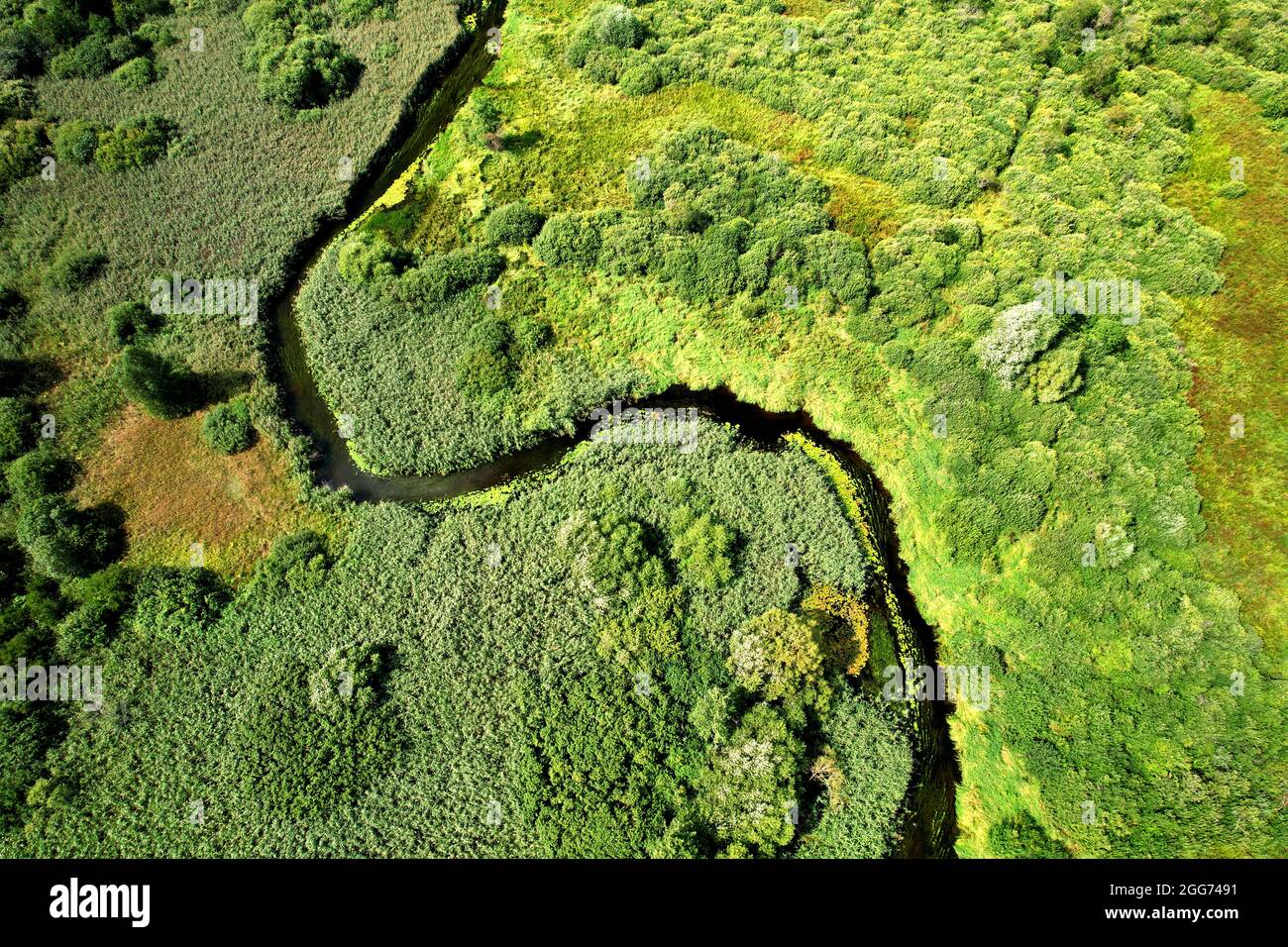 River in the wild. Aerial view of small river in middle of green field ...