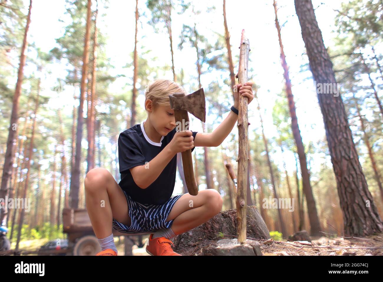 the boy is in a pine forest and is chopping wood to make a fire Stock ...