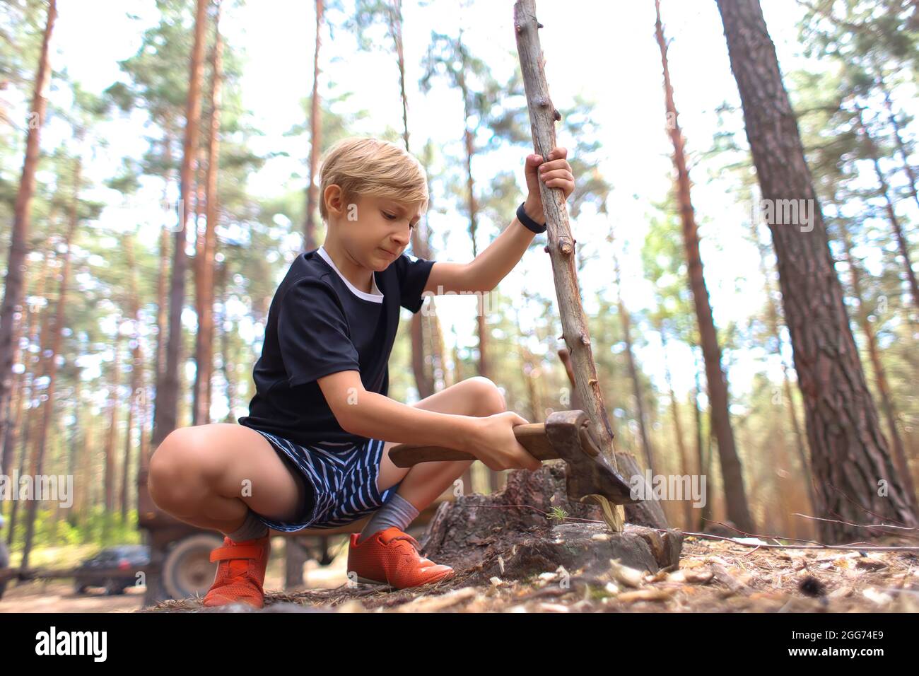 the boy holds an axe in one hand and a stick in the other and cuts it ...