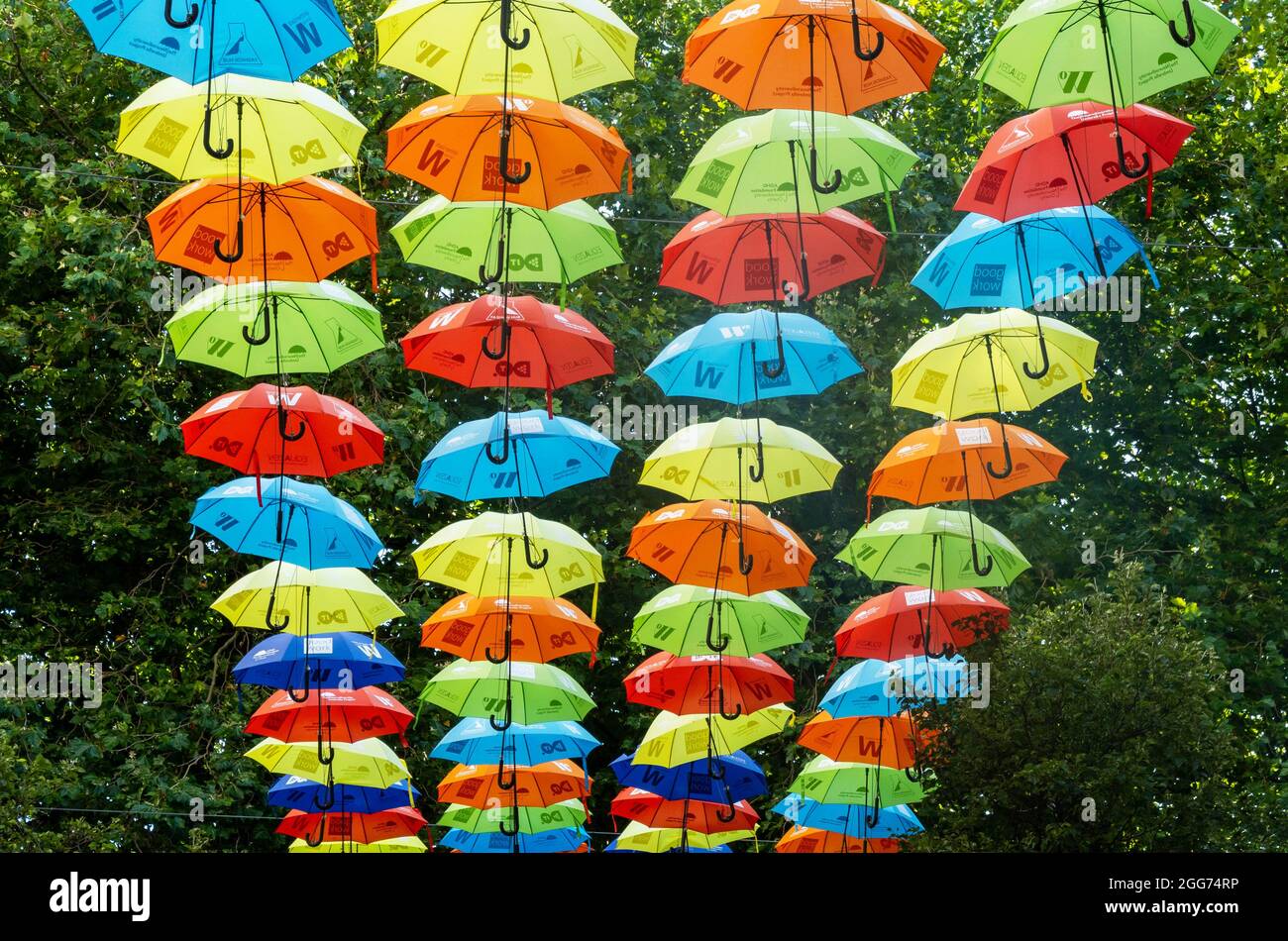 The Umbrella Project, 200 brightly colored umbrellas on Church Alley in ...