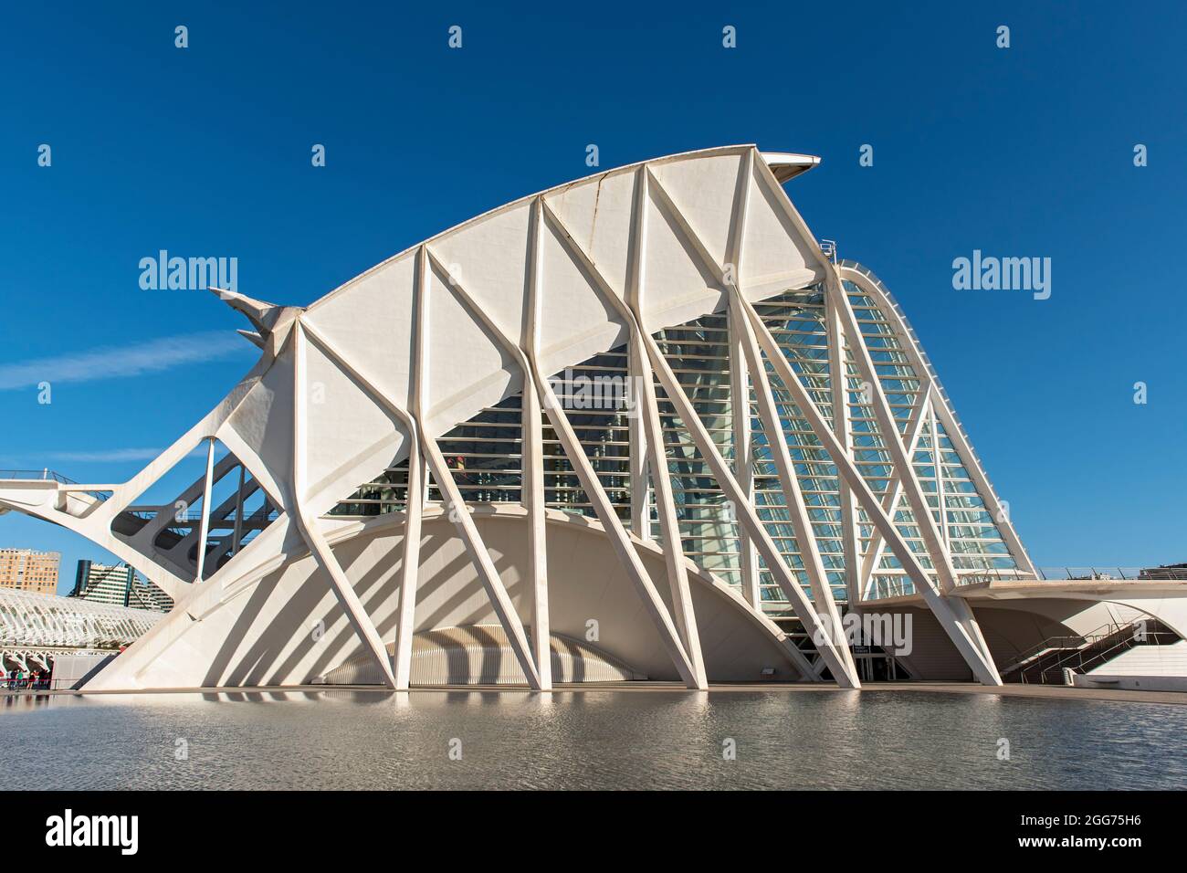 Prince felip science museum hi-res stock photography and images - Alamy