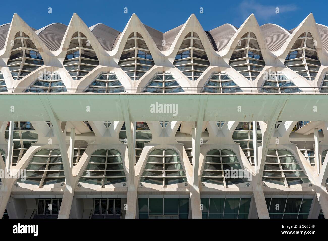 Museu de les Ciències (Prince Philip Science Museum), City of Arts and ...
