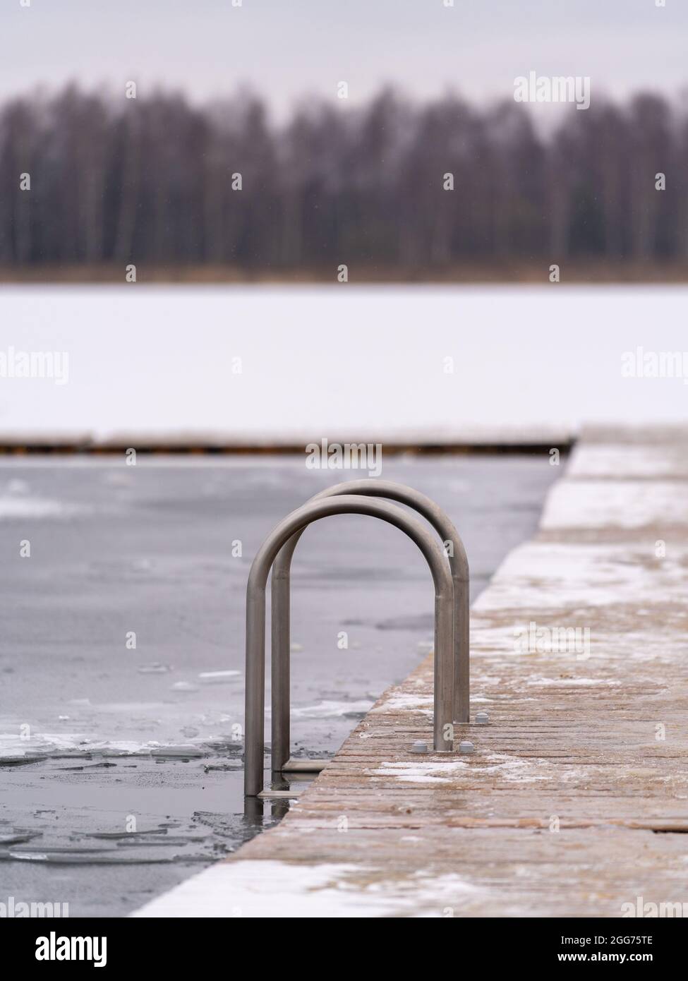 pool swimming ladders in the elbow Winter morning on a wooden ...