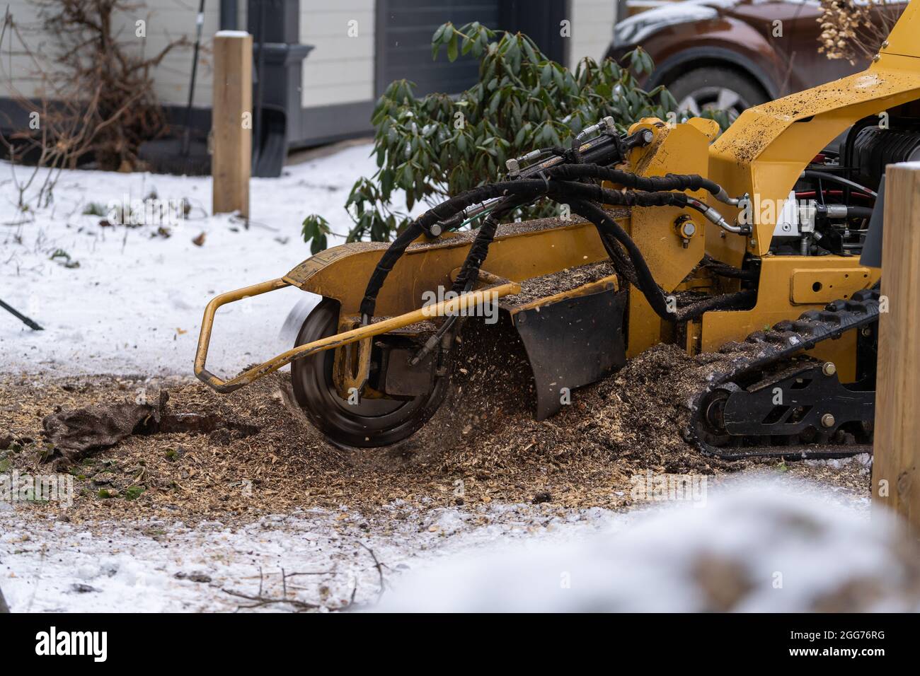 Stump grinding with a view from the right where the cutting disc is ...