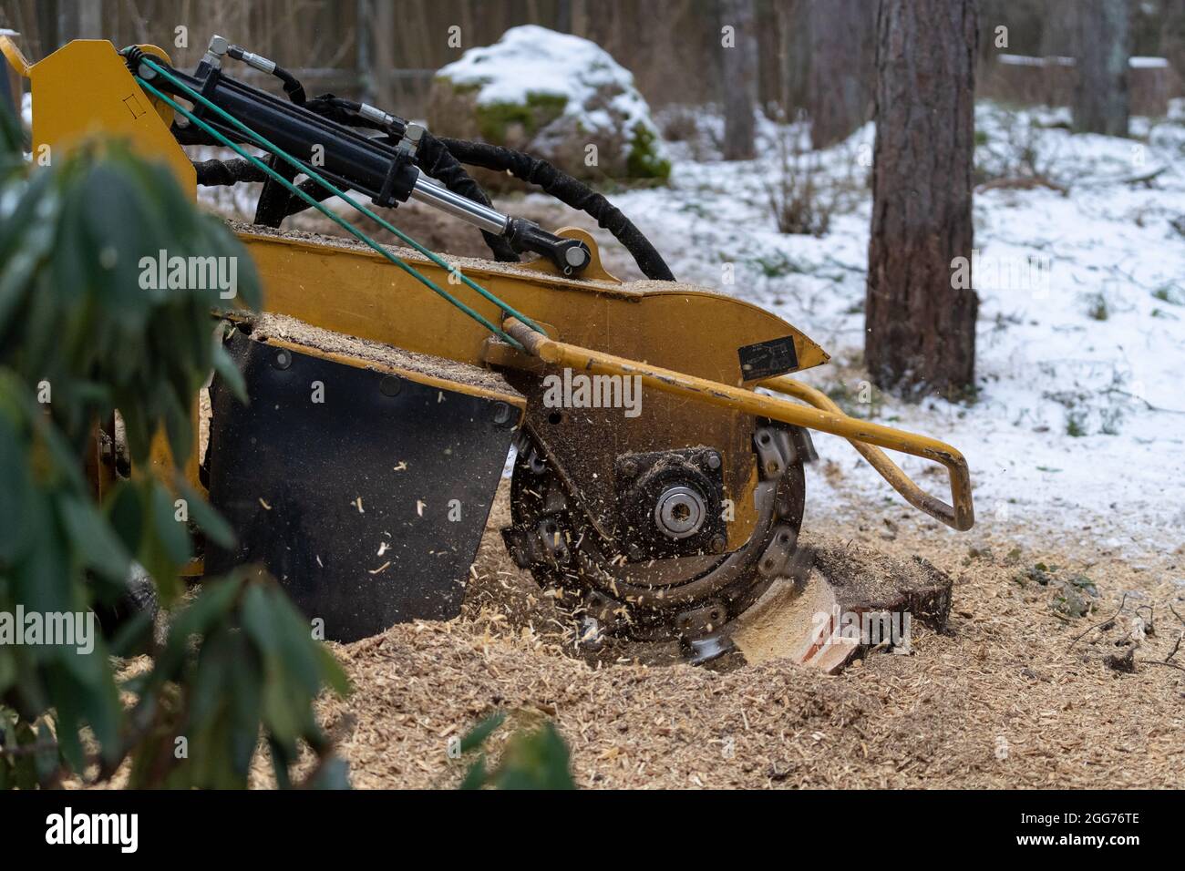 Stump grinding with a view from the right where the cutting disc is ...