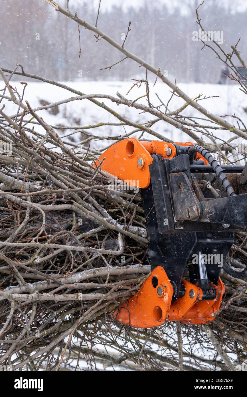 Rear view to grapple. Mini loader is taken full grapple of tree ...