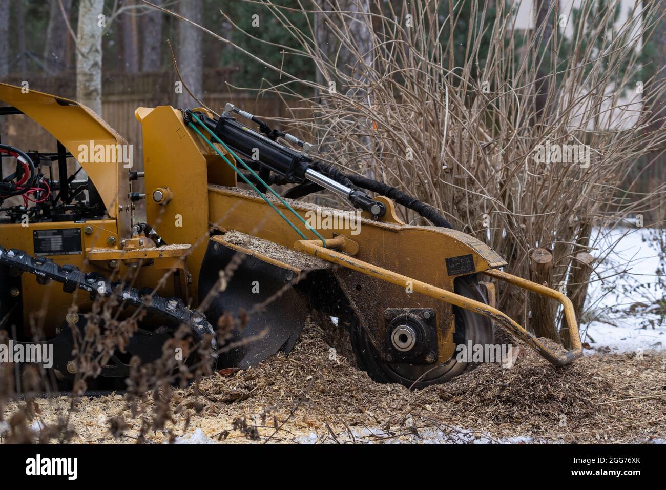 Stump grinding with a view from the right where the cutting disc is ...