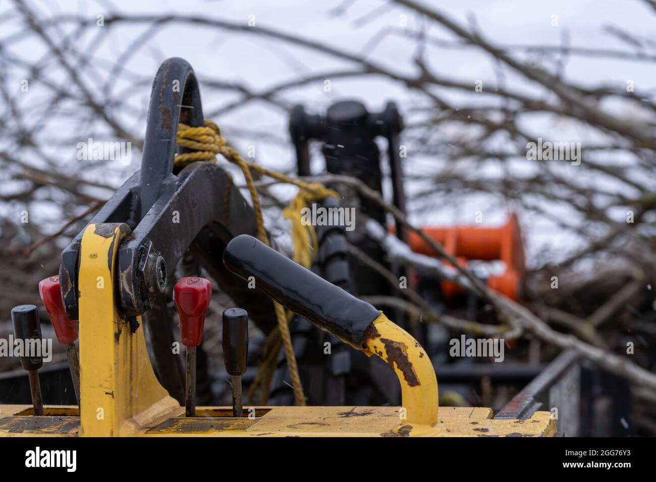 Stand of timber hi-res stock photography and images - Alamy