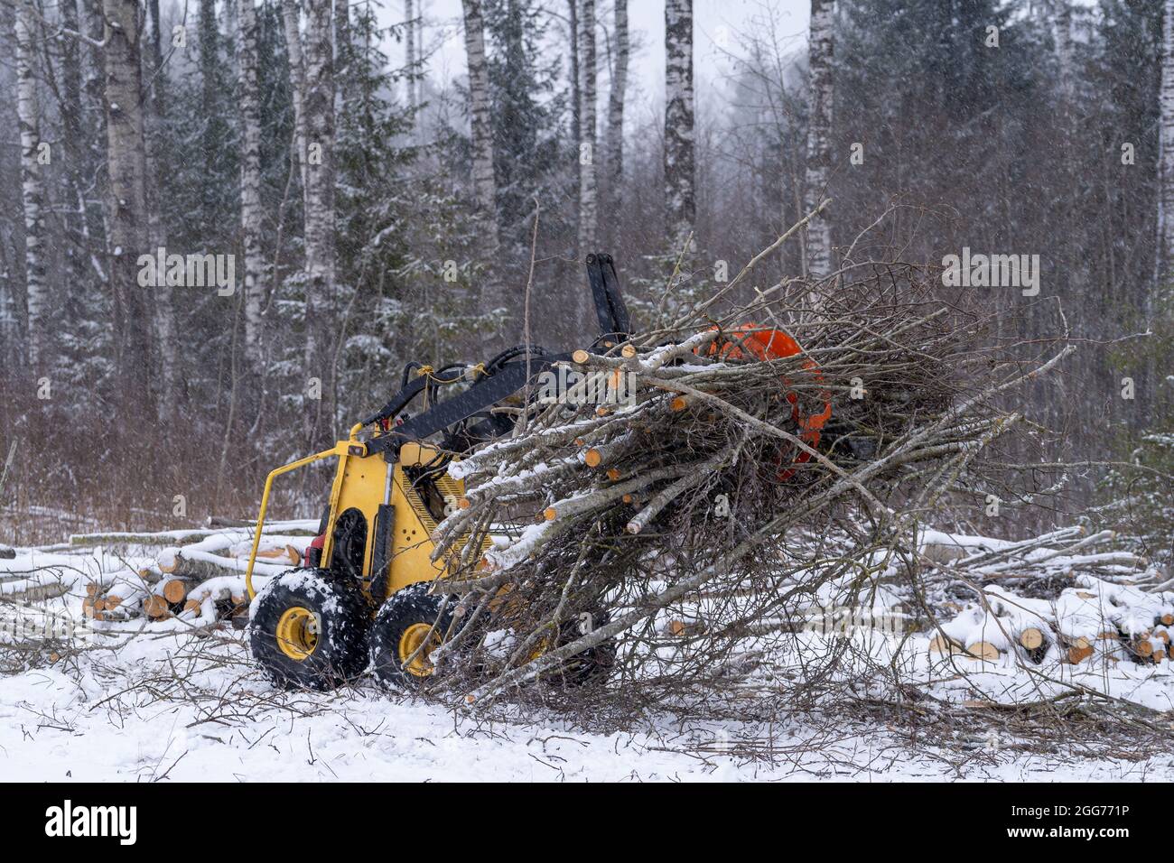 side view to mini skid steer. Mini loader is taken full grapple of tree ...