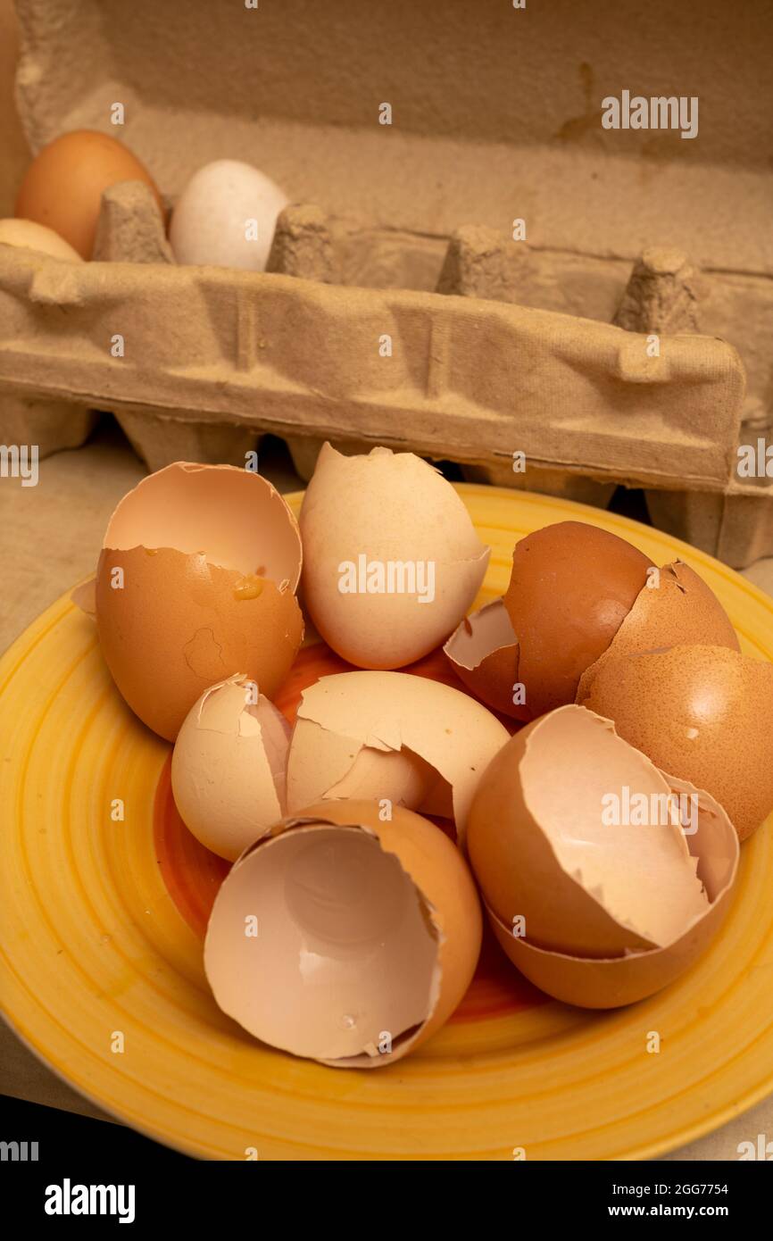 Seven eggs hi-res stock photography and images - Alamy
