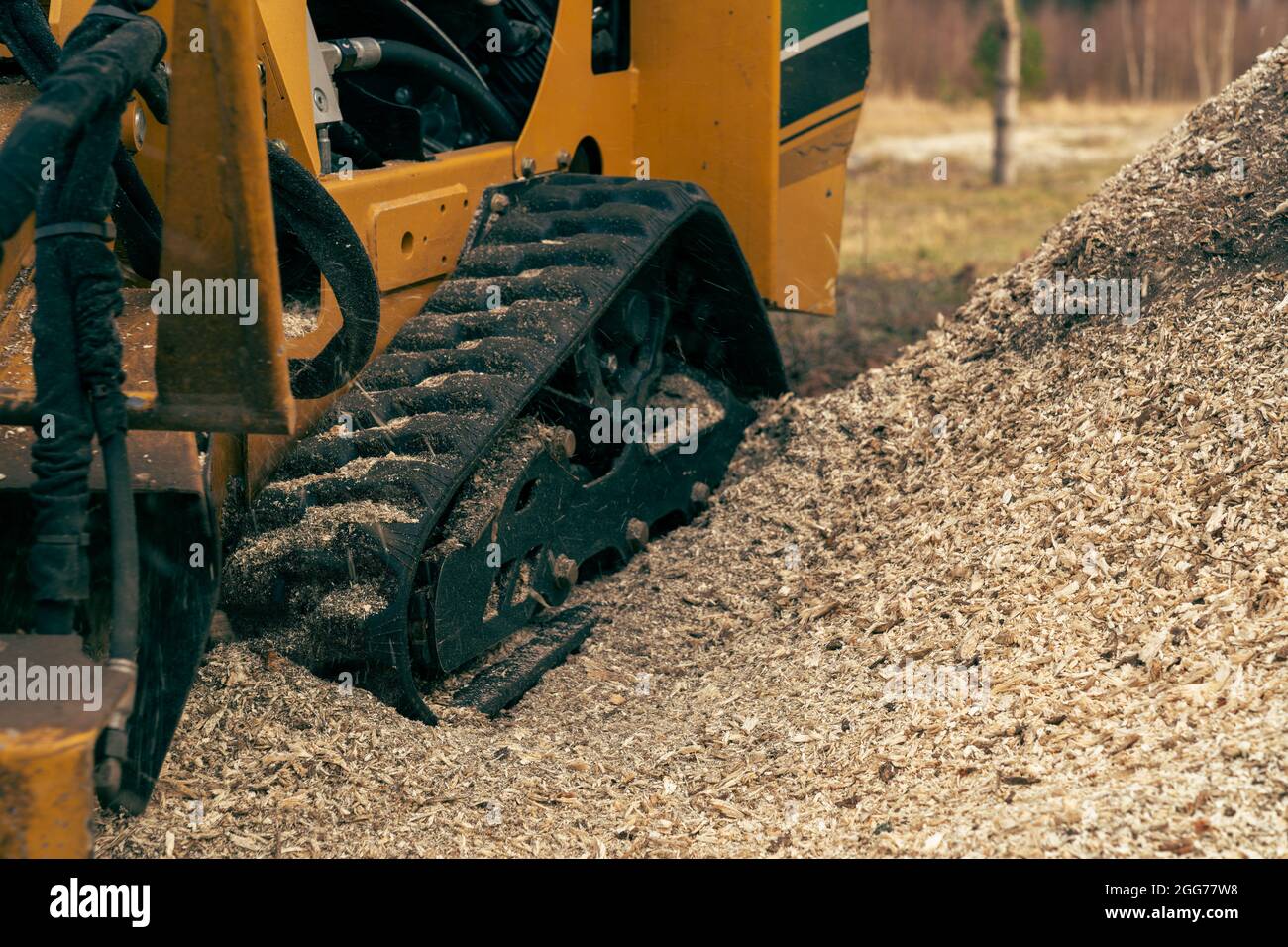 Stump grinder hi-res stock photography and images - Alamy