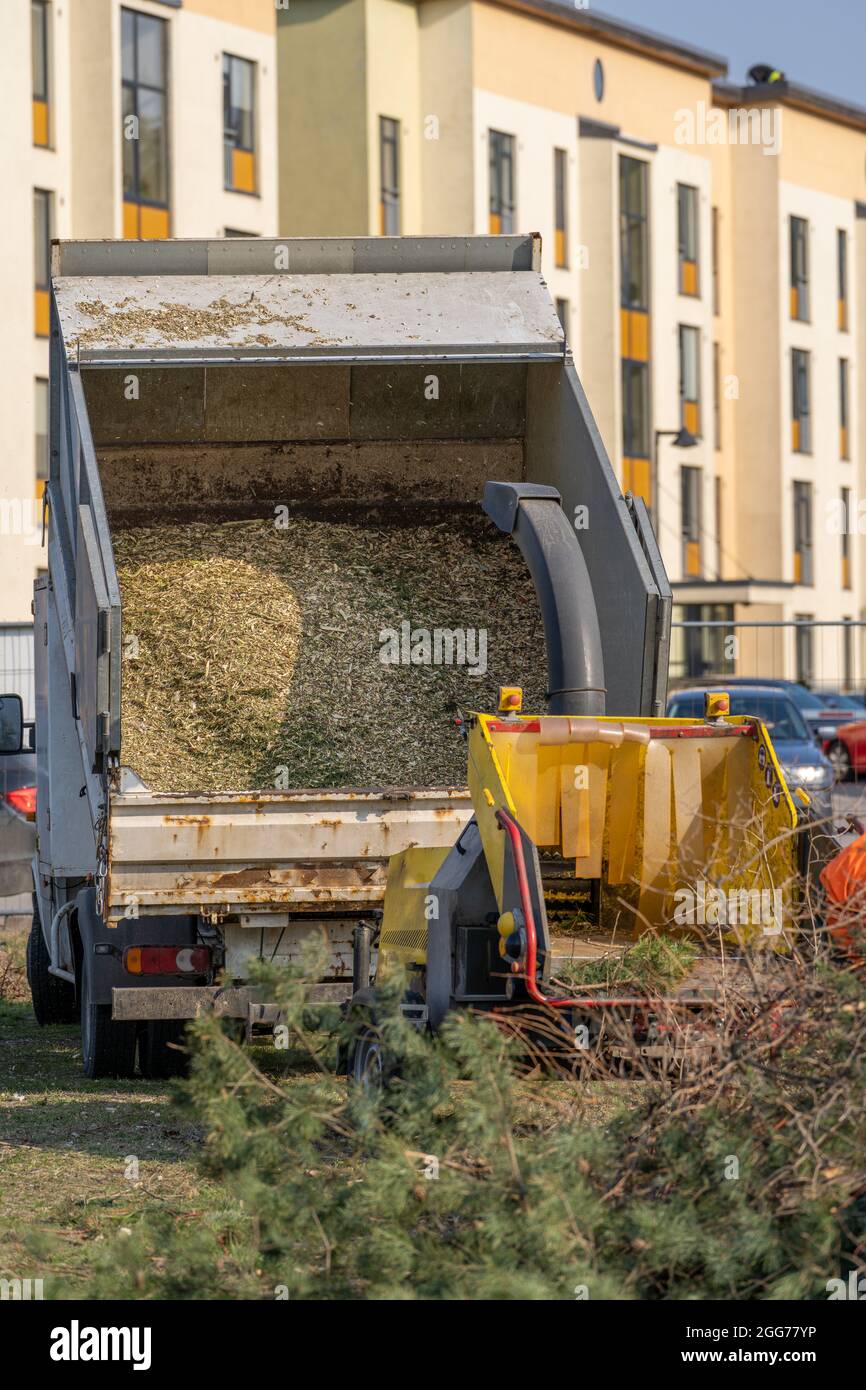 On a sunny spring working day, the arborist's dump truck, together with ...