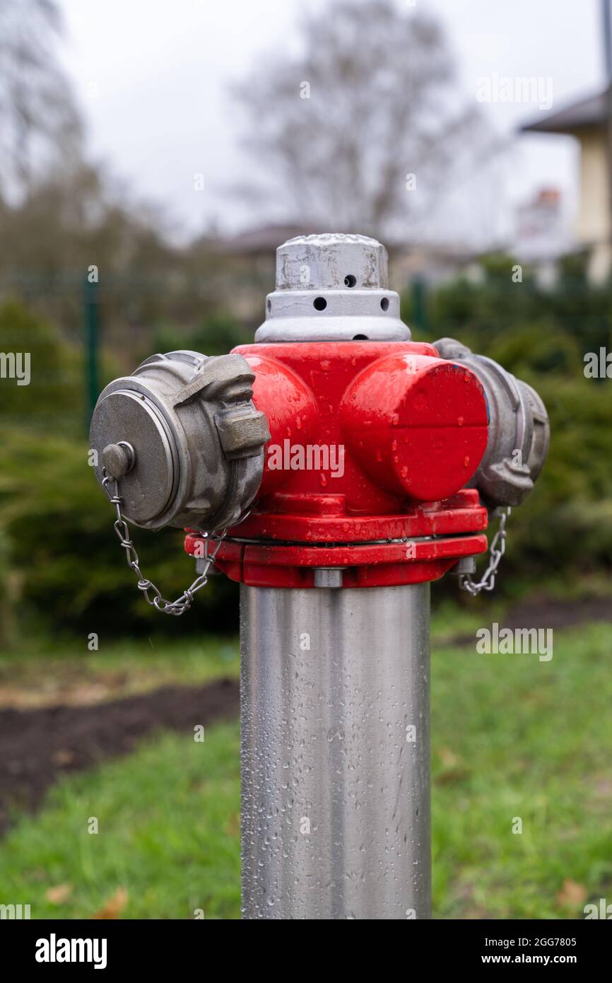 Close-up of a fire hydrant with a background existing trees and shrubs ...