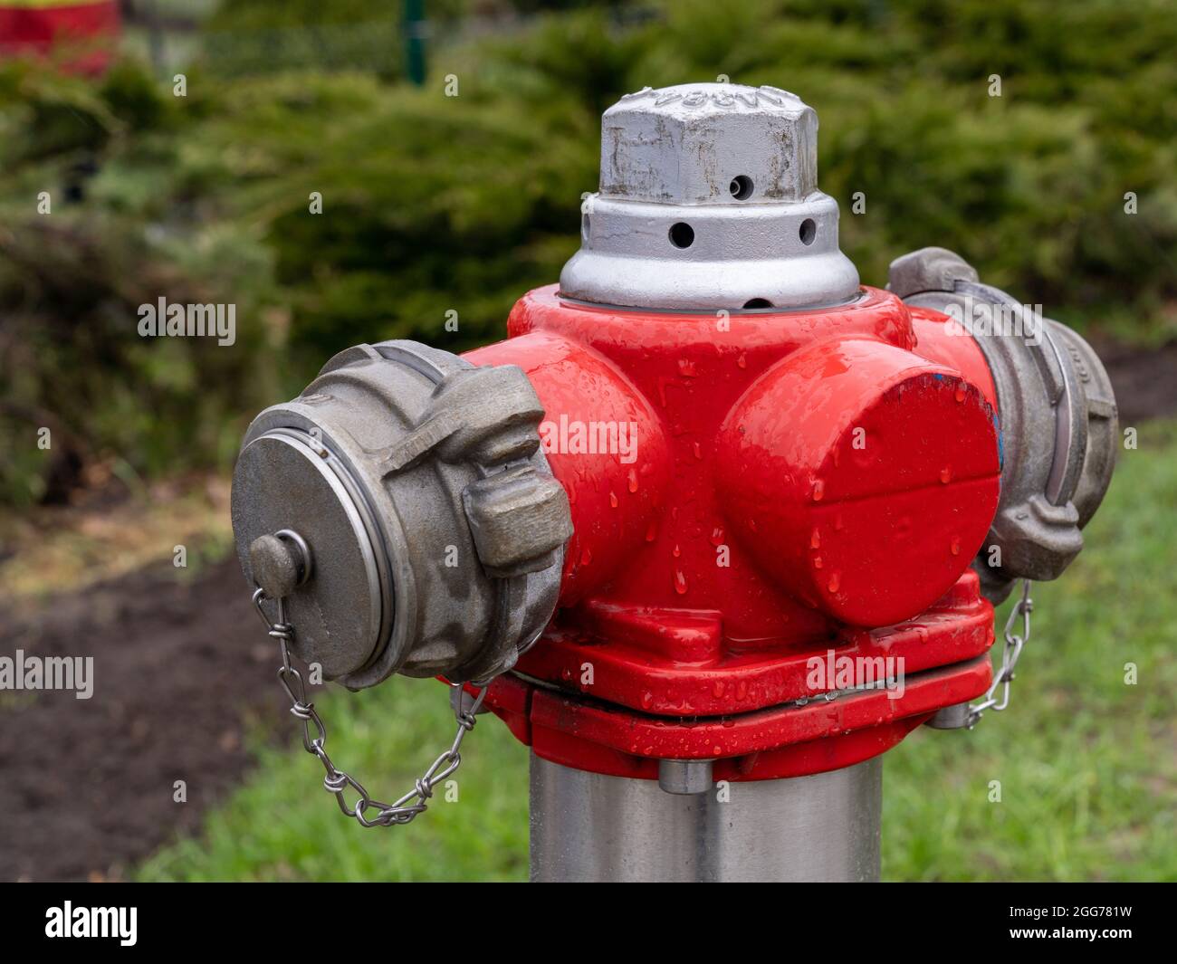 Close-up of a fire hydrant with a background existing trees and shrubs ...