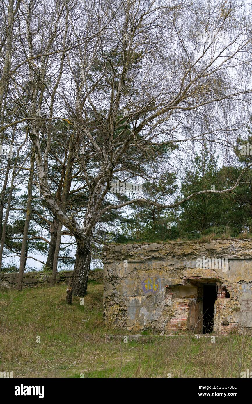 spring landscape landscape with birch and abandoned, ancient army fort ...