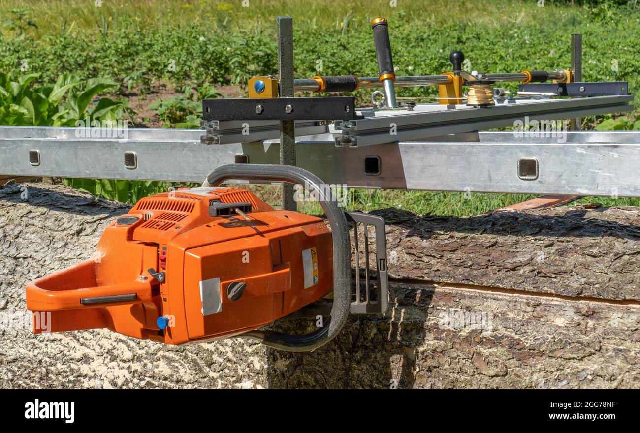 spruce log for the first cut with a chainsaw Stock Photo - Alamy