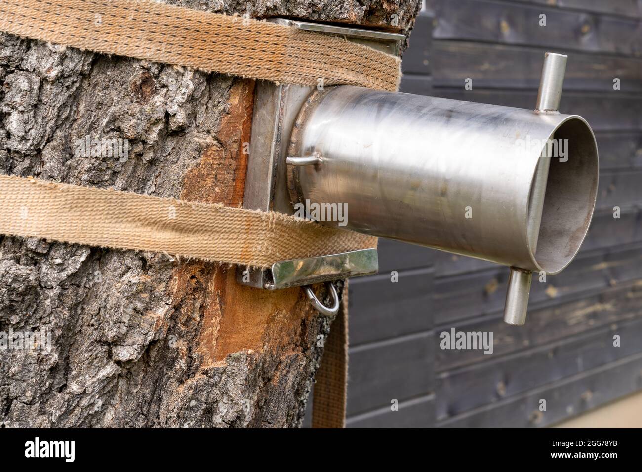 arborist sawing instrument - rigging lowering port lowering brake for ...