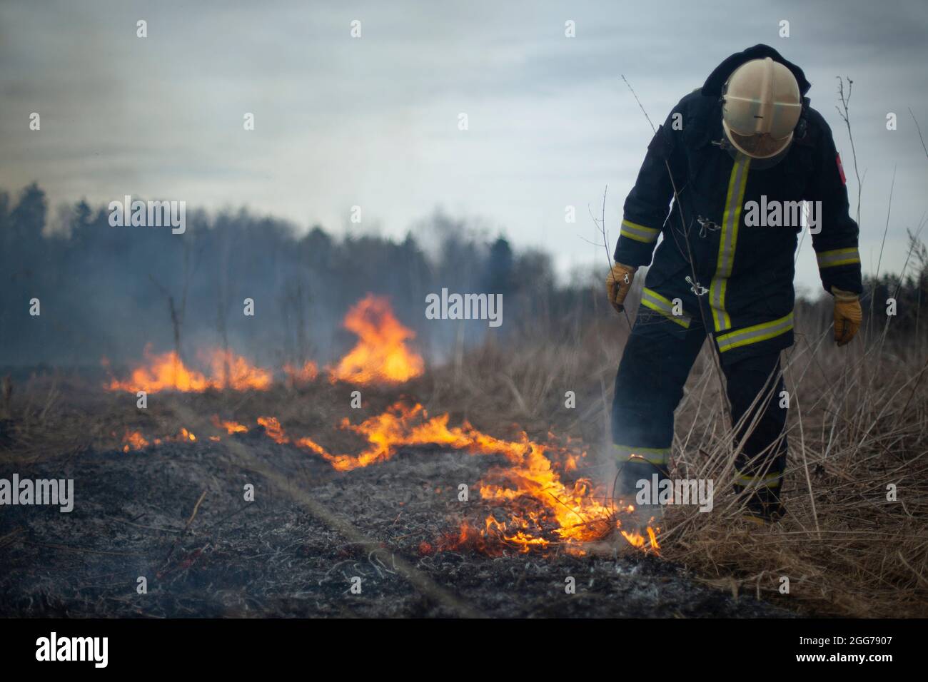 A firefighter extinguishes dry grass. A firefighter is fighting a fire ...