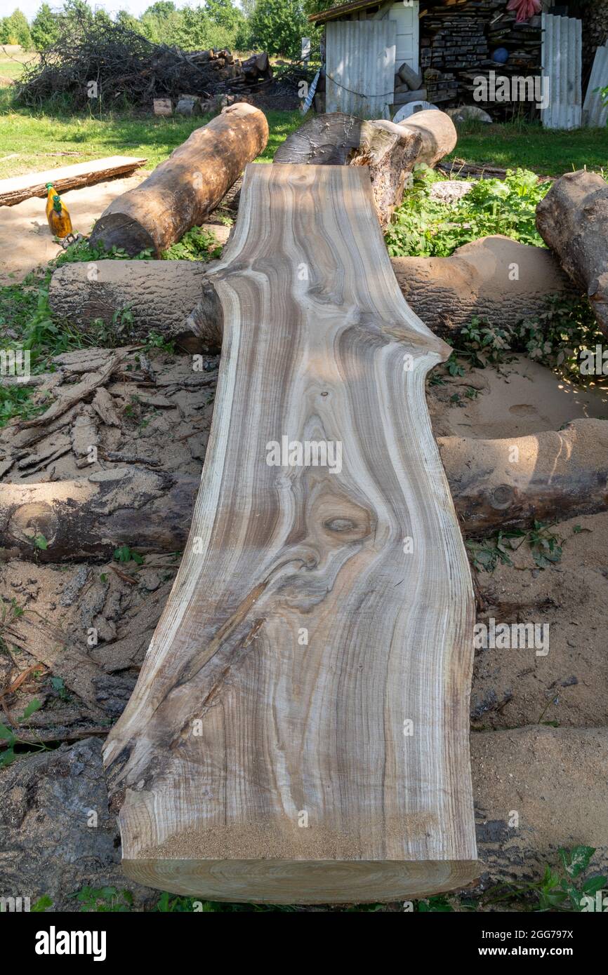 Solid oak beam from which wide boards will be cut. Oak log from which ...