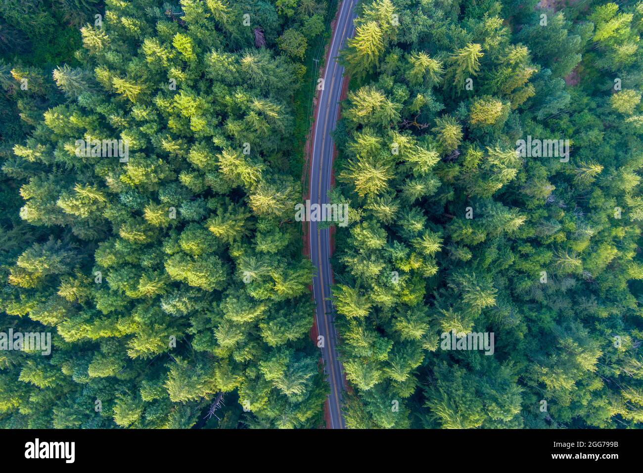 Aerial view of a road in the Cascade Mountains of Washington State ...