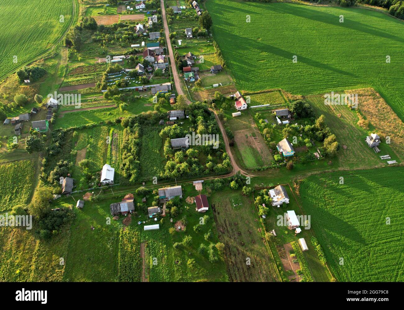 Top view of the village with wooden houses in wild among the forest and ...