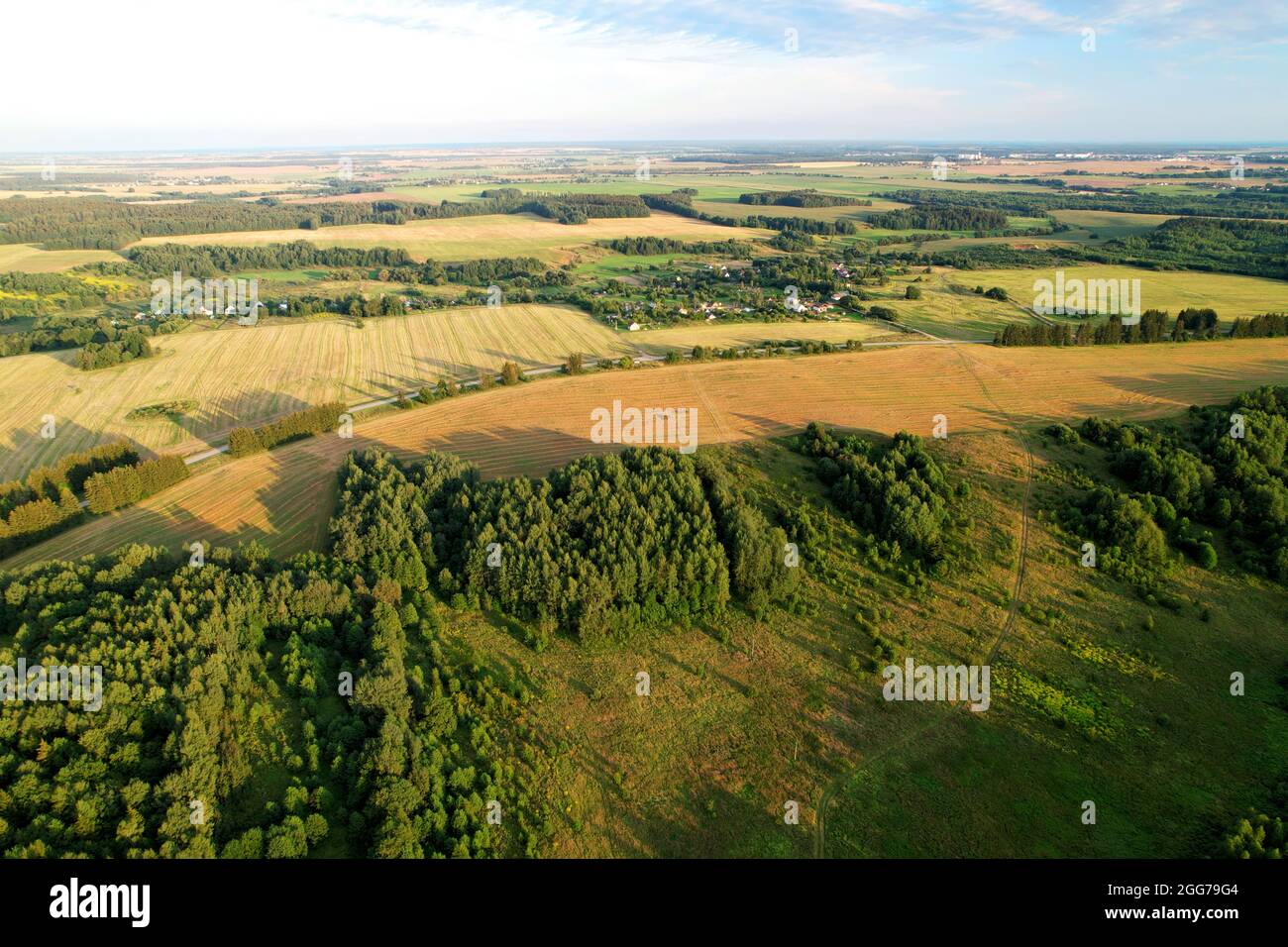 Aerial view of the forest and field. Drone view from above of a gold ...