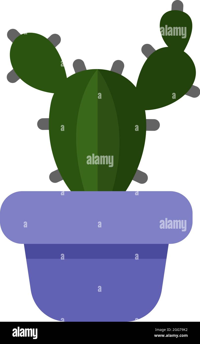 Angel wings cactus in a purple pot, icon illustration, vector on white ...