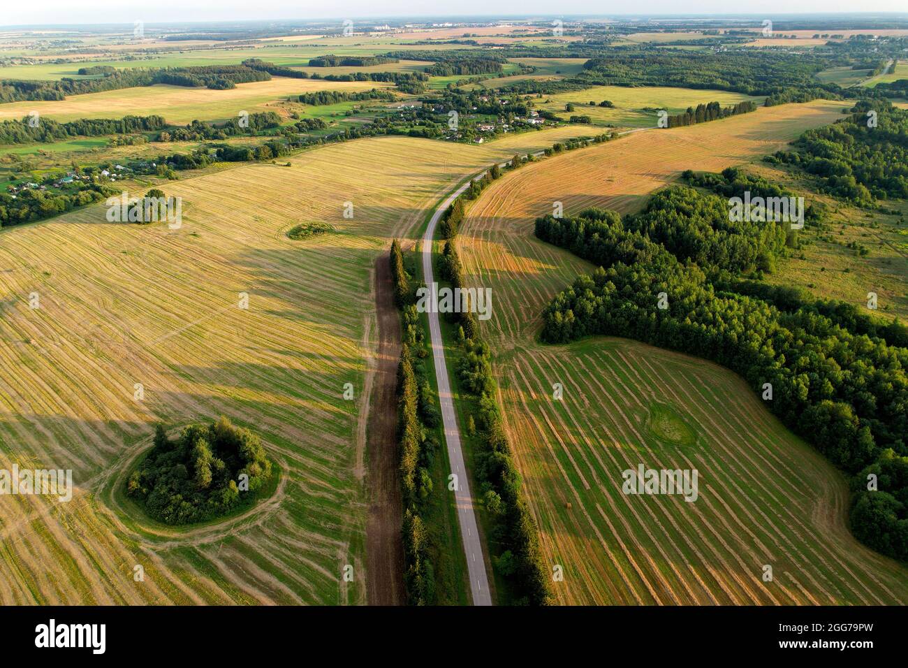 Top view of road near agricultural field. Road through the green plant ...