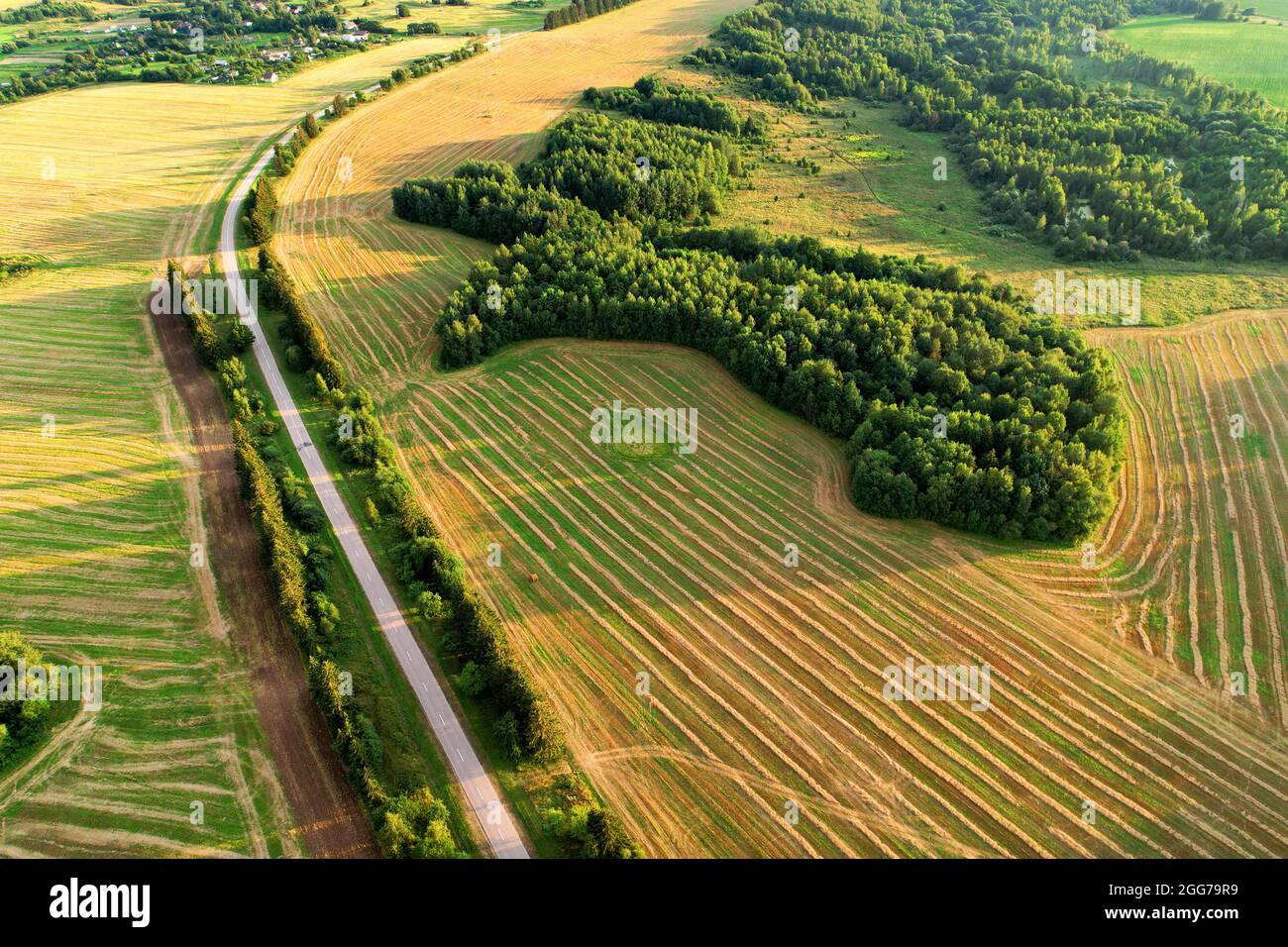 Top view of road near agricultural field. Road through the green plant ...