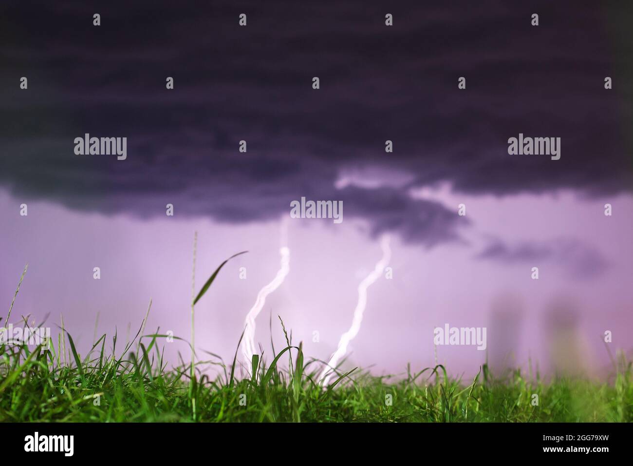 Lightning flashes across the night sky on the field grass. Violet color ...