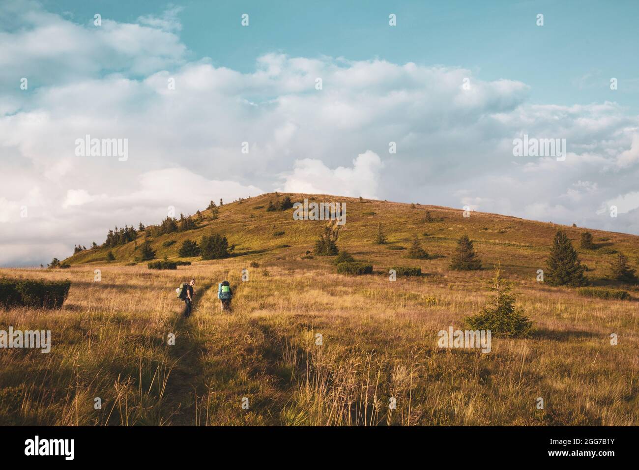 Girls hikers climb to the mountain at sunset, high alpine grass at dusk ...