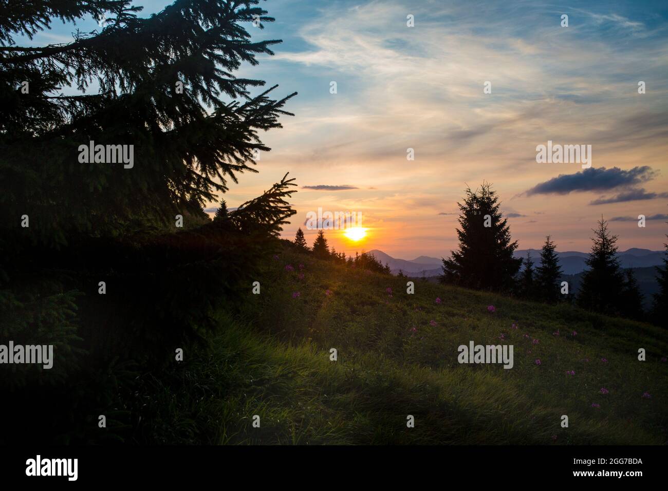 Alpine zone hi-res stock photography and images - Alamy