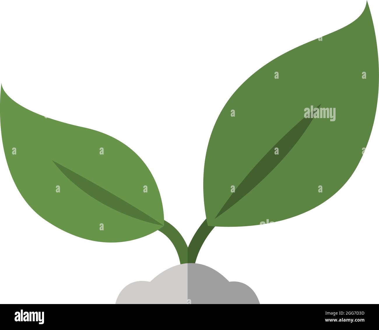 Sprout icon hi-res stock photography and images - Alamy