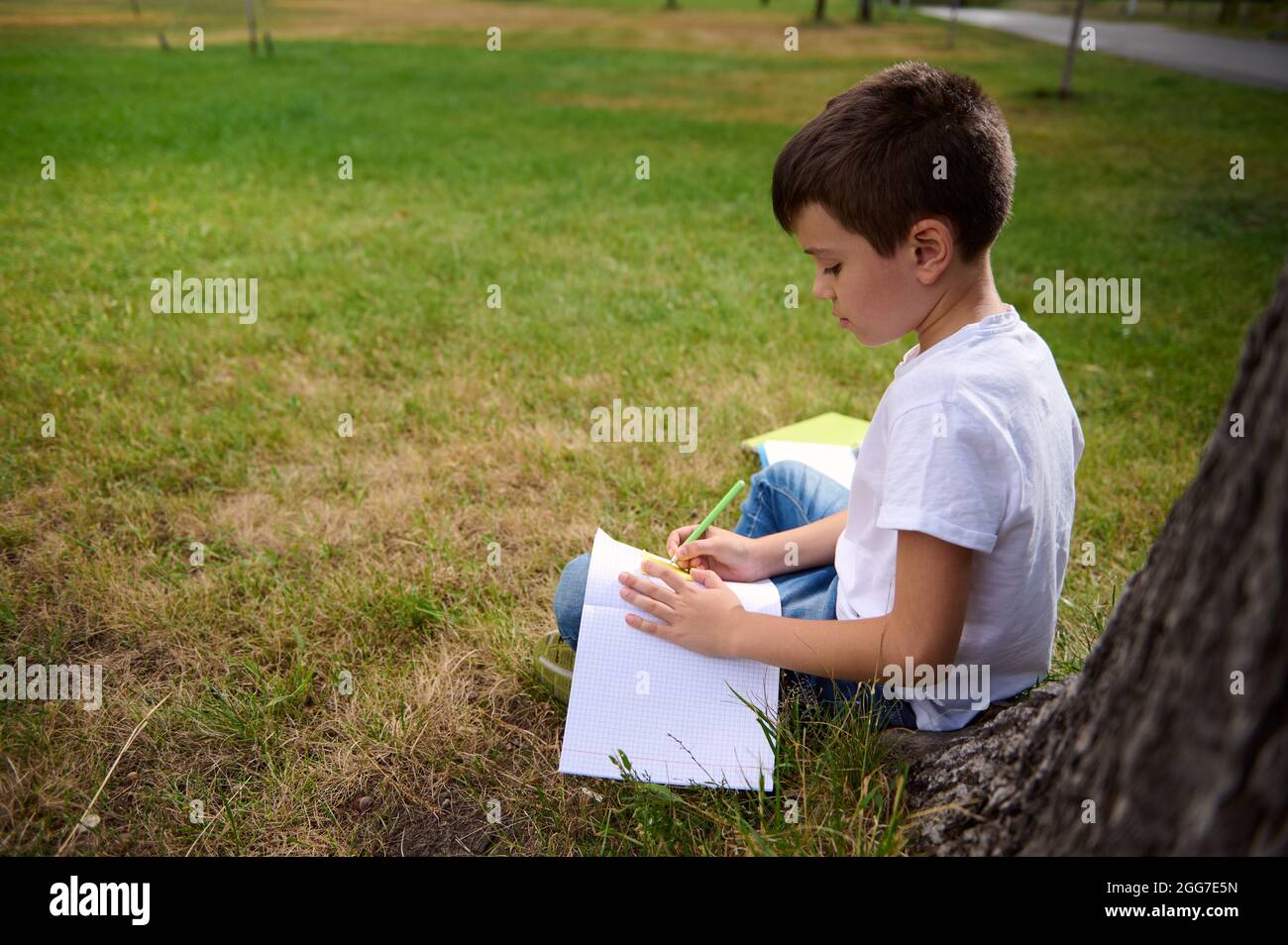 Intelligent schoolboy holding pen , doing homework, writing on copy ...