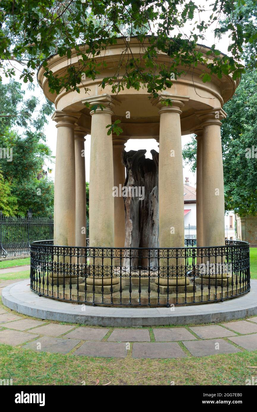 Tree of guernica hi-res stock photography and images - Alamy