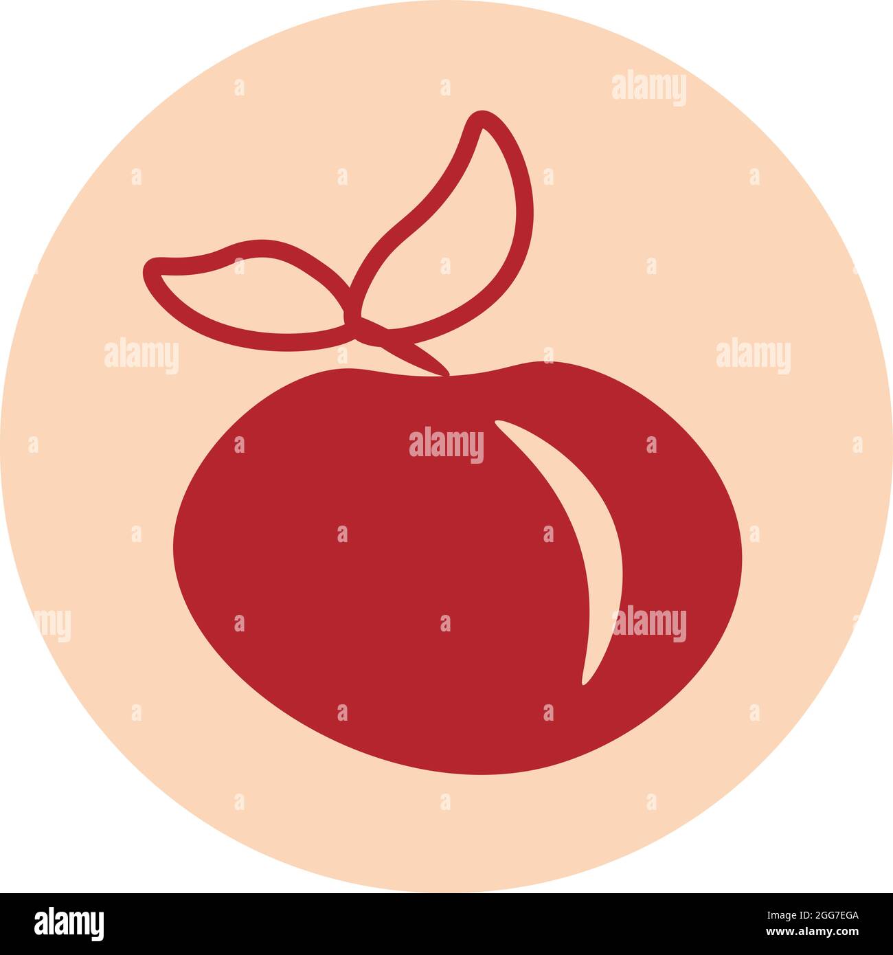 Fresh organic red nectarine Stock Vector Images - Alamy