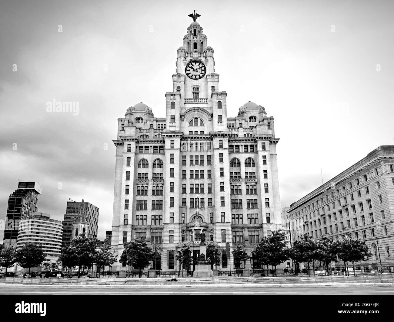 Royal liver building cunard and port of liverpool buildings pier Black ...