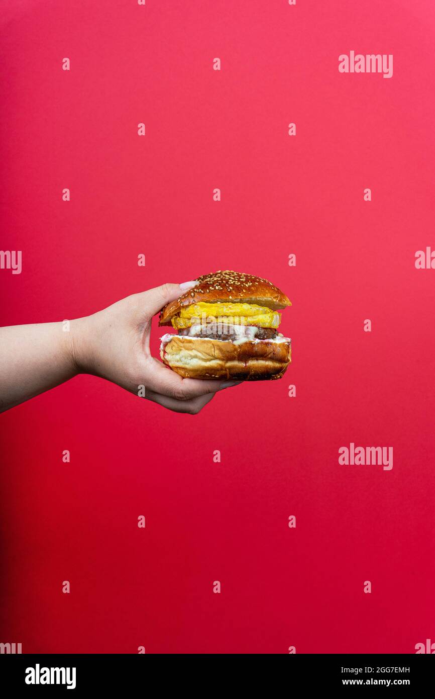 human hand holding tasty hamburger cheeseburger burger isolated on red ...